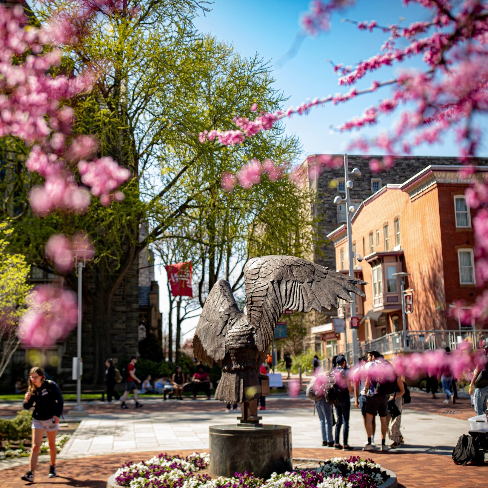 University Events | Temple University